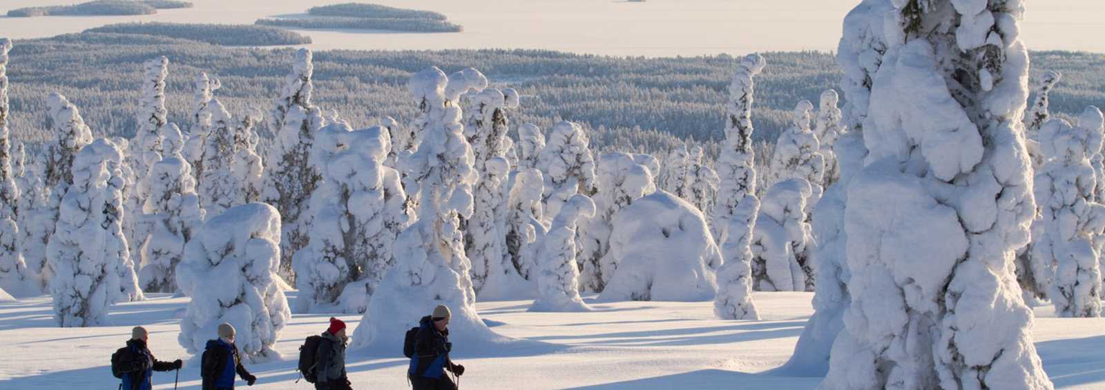 Top Five Winter Activity Holidays | Exodus Travels