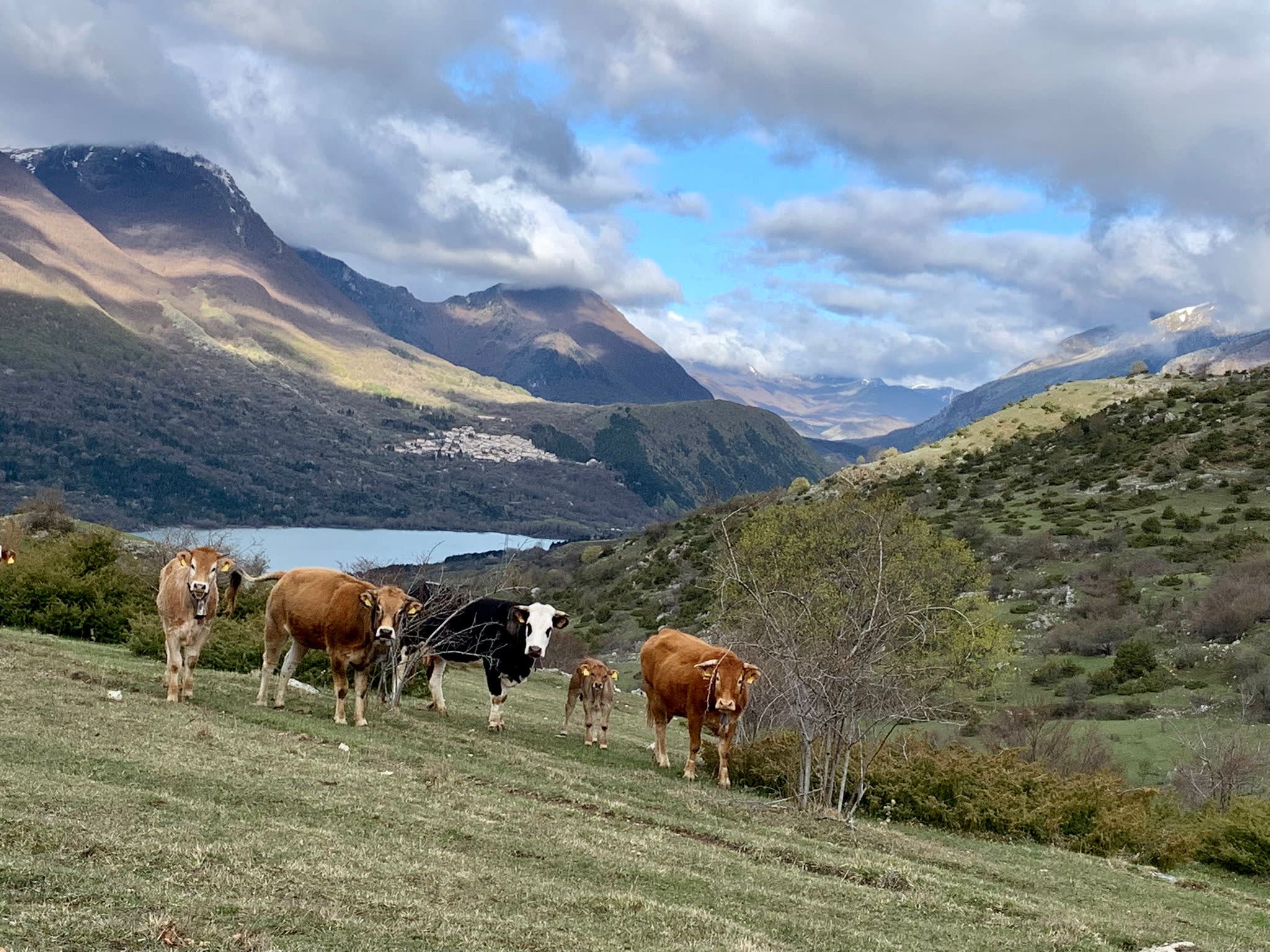 First travellers explore Italy’s "Wild Heart" on our Rewilding the ...