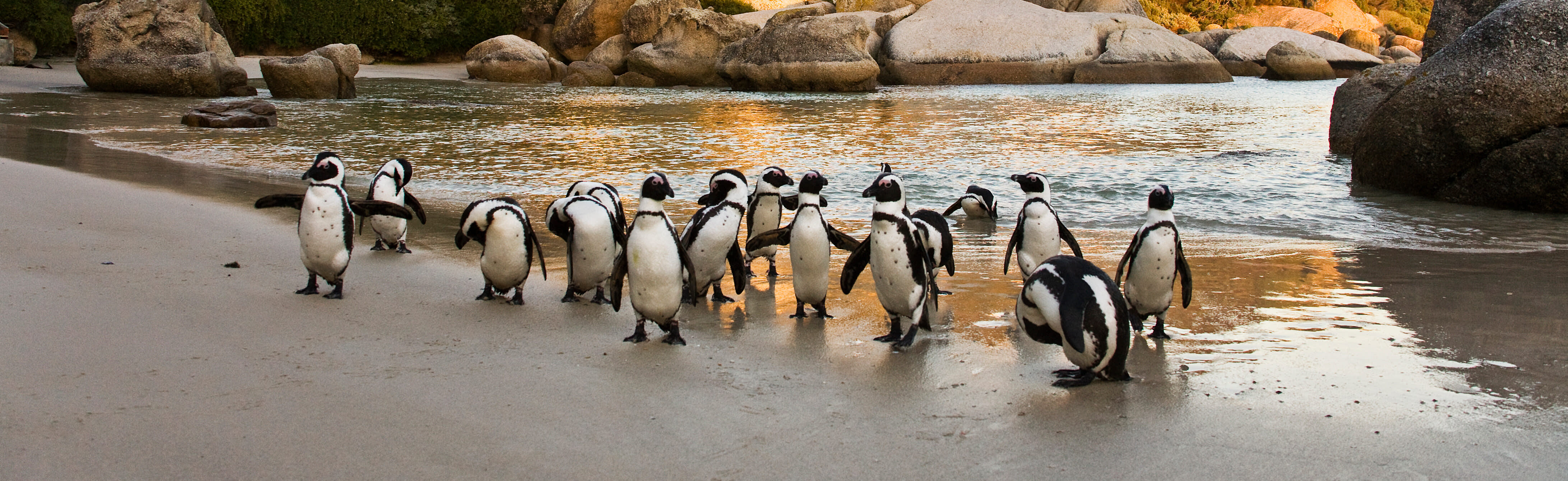 4 Premium Adventures that make the ultimate winter escape | Exodus