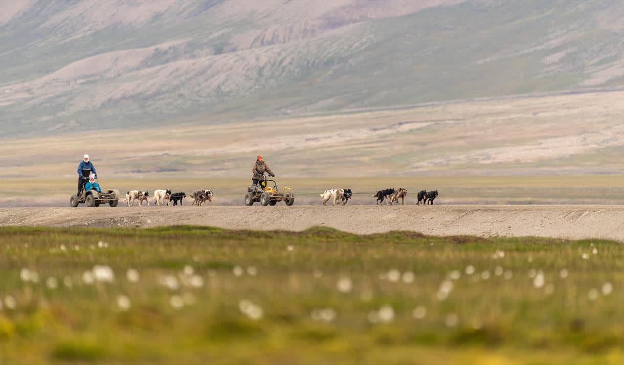 Svalbard Arctic Adventure - Polar Summer | Exodus