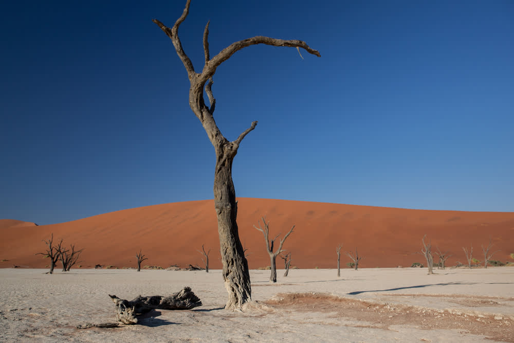 10 skäl till varför du borde besöka Namibia | MyPlanet Resor