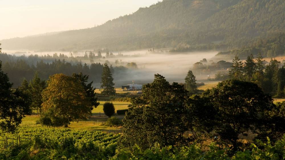 Vancouver Island Self Drive Tours - Hayes & Jarvis Holidays