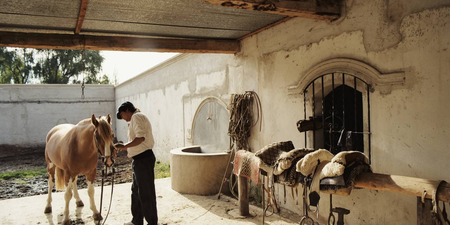 Luxury Private Jet Tour Activities | TCS World Travel