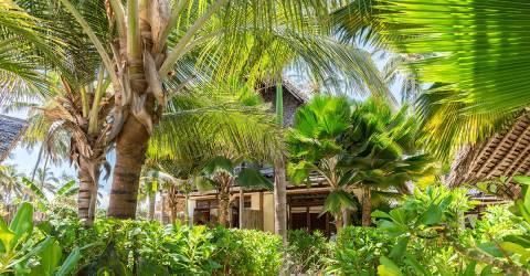 Safari i Tanzania och Zanzibar - Resa Tanzania | MyPlanet Resor