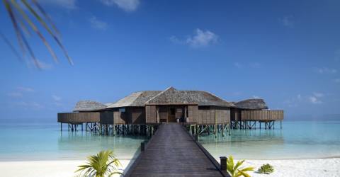 Rejse til Maldiverne Lily Beach Resort | MyPlanet Rejser