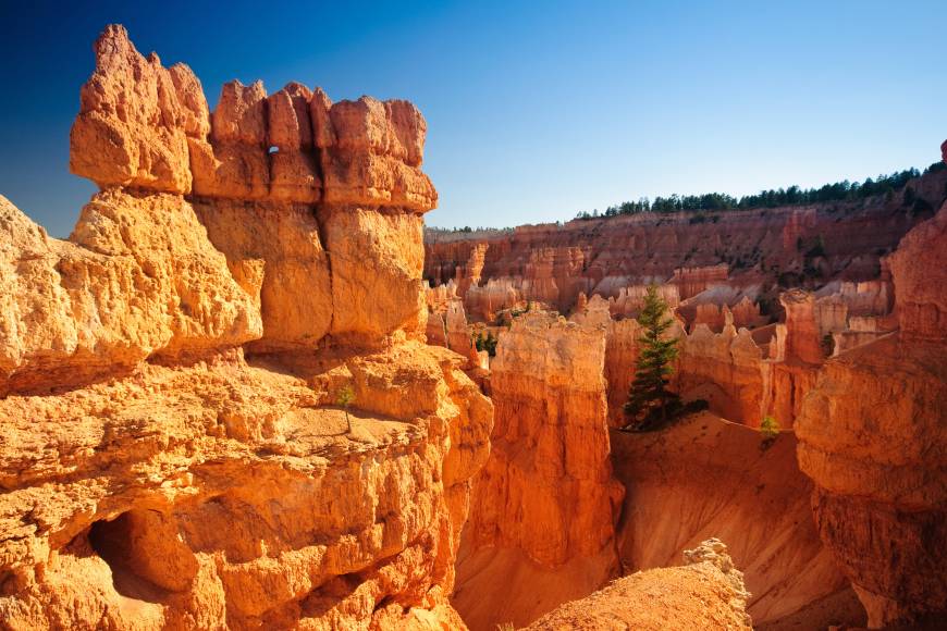 Desert Trekking Walking Holidays, Desert Treks Trips and Tours | Exodus