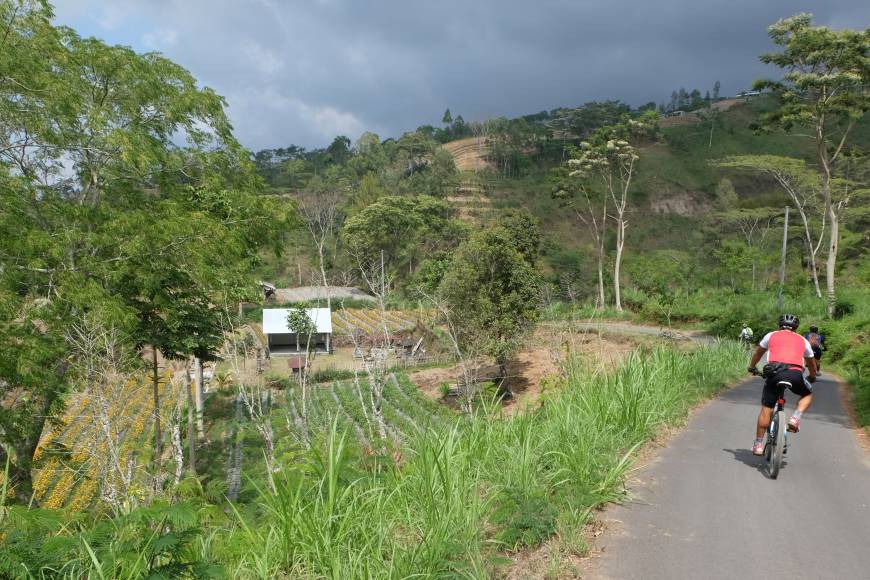 Road Cycling Holidays, Road Cycling Tours, Road Cycling Trips | Exodus