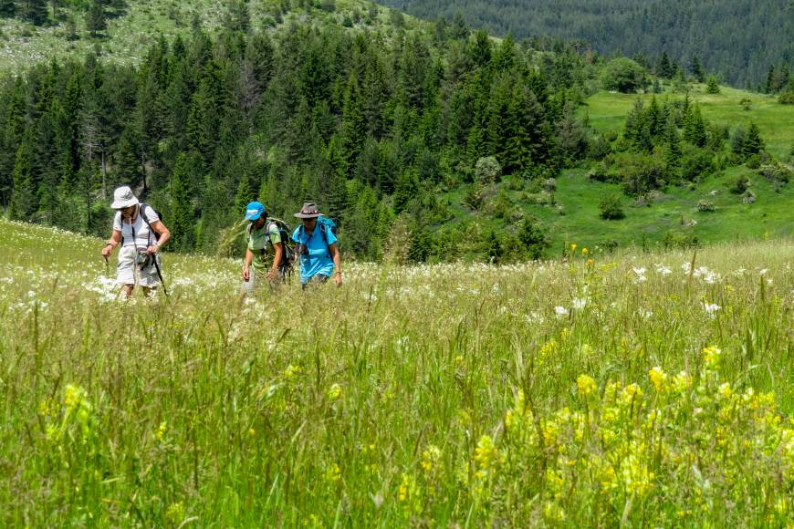 Hike Bulgaria's Rodopi Mountains | Exodus