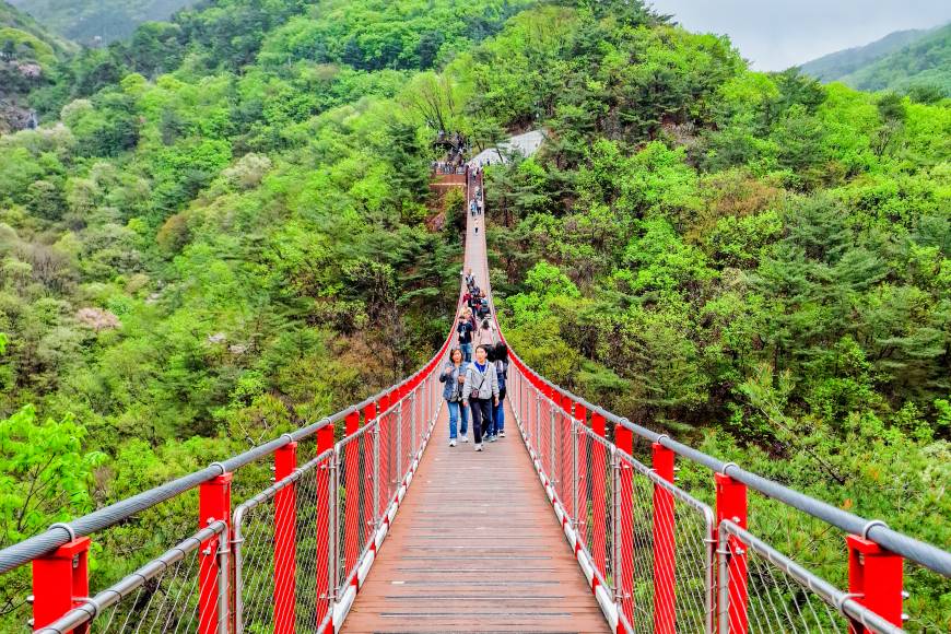 Coach Tours & Guided Bus trip vacations | AMA Travel