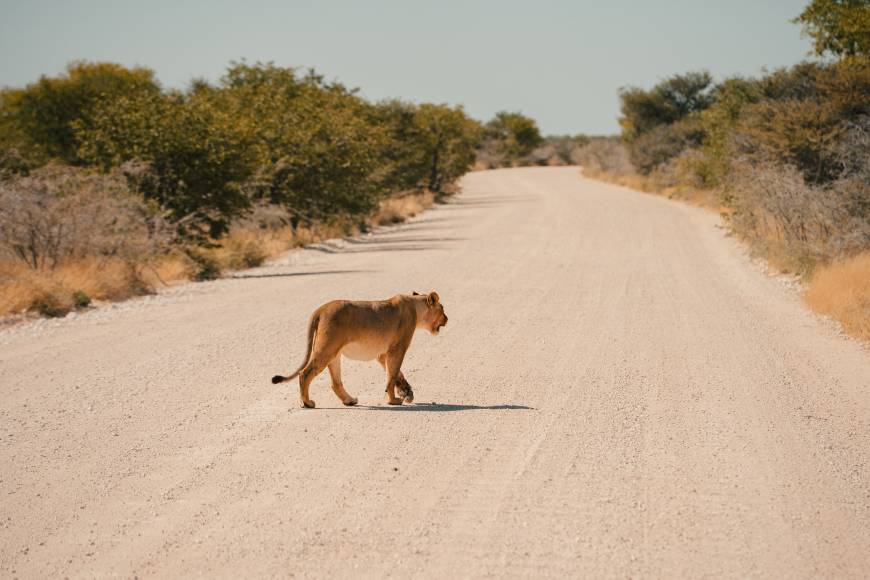 Discover Namibia - Lodges | Exodus