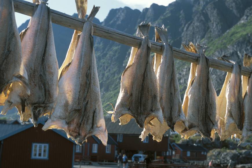 Norway Trips | Norway Tours | Trips to Norway | Exodus