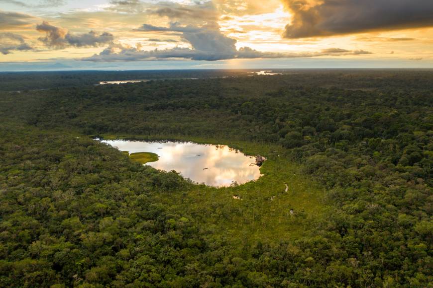 Sacha Lodge Add-on Tour | Exodus