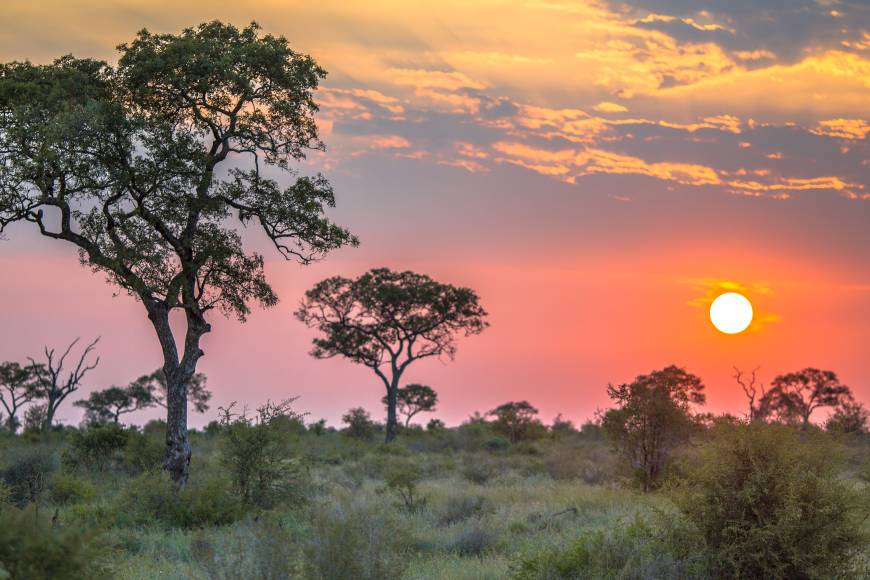 Best Tours to Africa | Africa Trips | Exodus USA