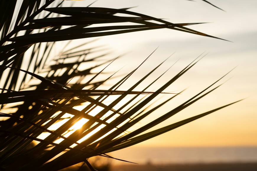 Signature Costa Rica | Where the Wild Answers | Exodus