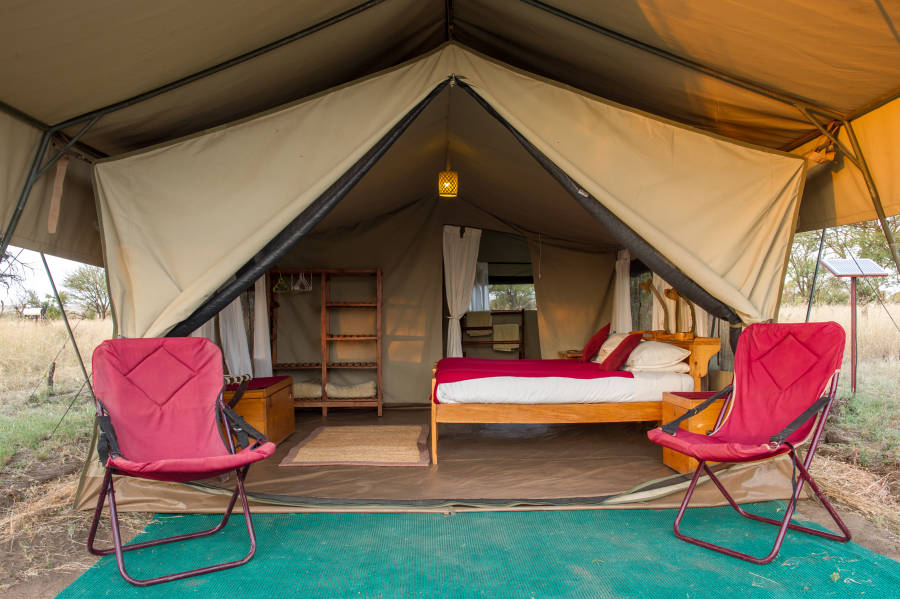 Safari i Tanzania och Zanzibar - Resa Tanzania | MyPlanet Resor