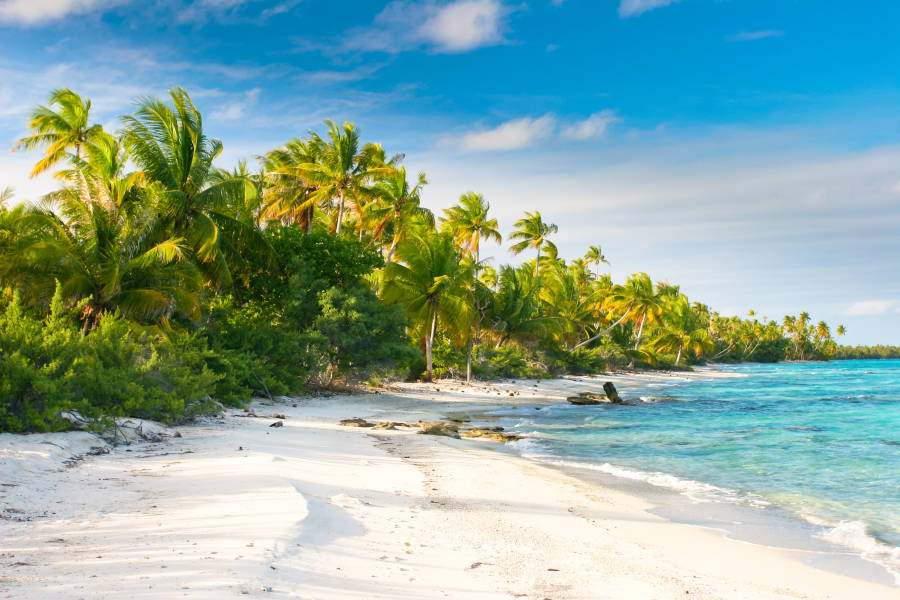 Det bedste af Fransk Polynesien | MyPlanet Rejser