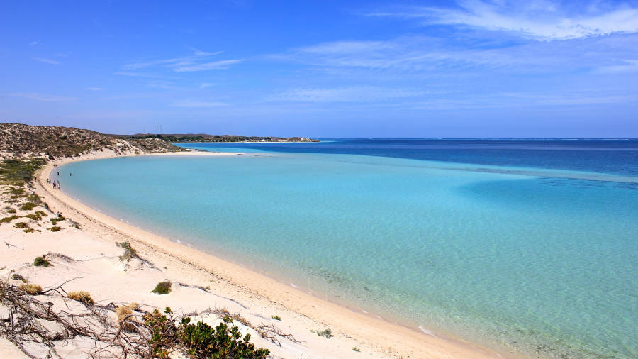 Roadtrip: Australiens Coral Coast | MyPlanet Rejser