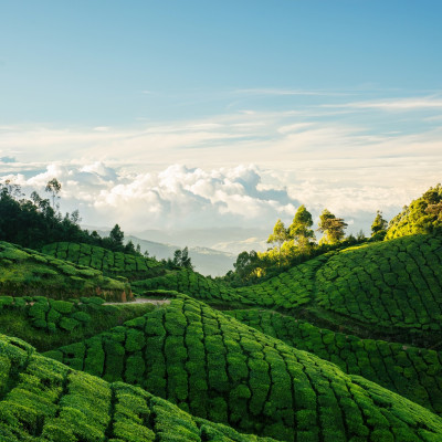 Simply South India: Heritage, Landscapes and Beach - Enchanting Travels