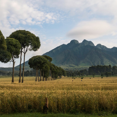 Is Rwanda Safe To Visit? Travel Advice From Experts | Enchanting Travels