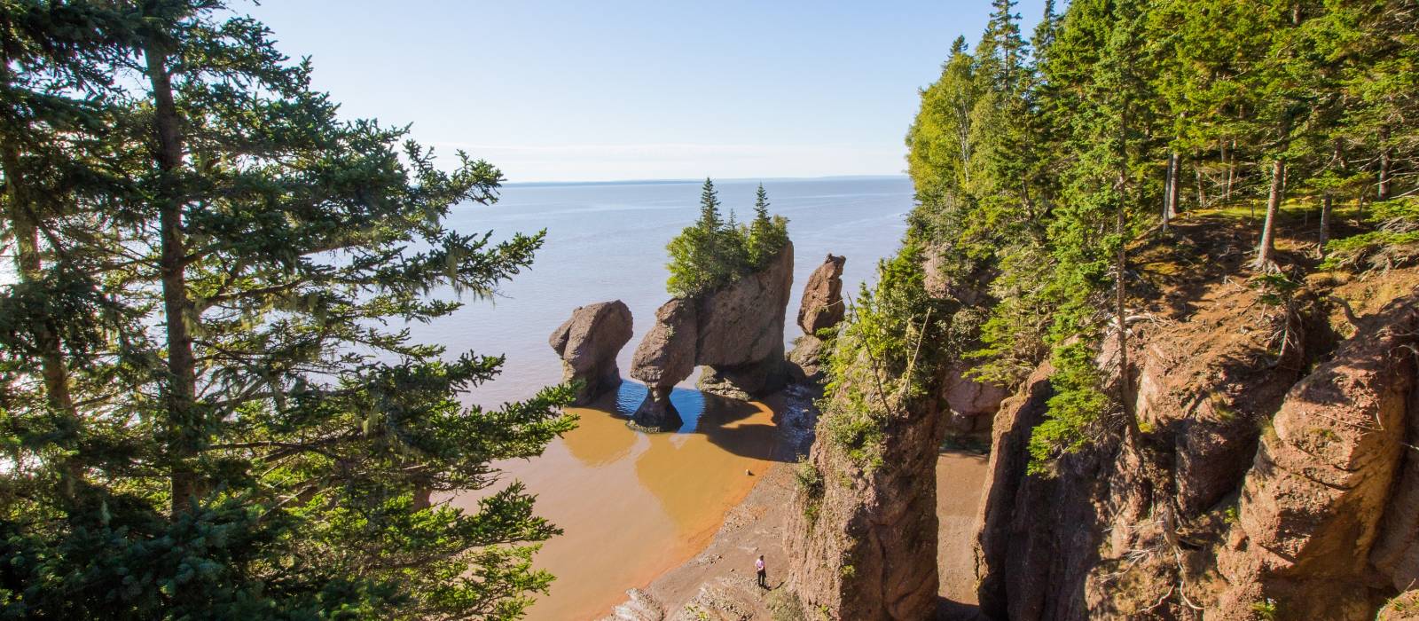 Exclusive Travel Tips for Your Destination Moncton in Canada