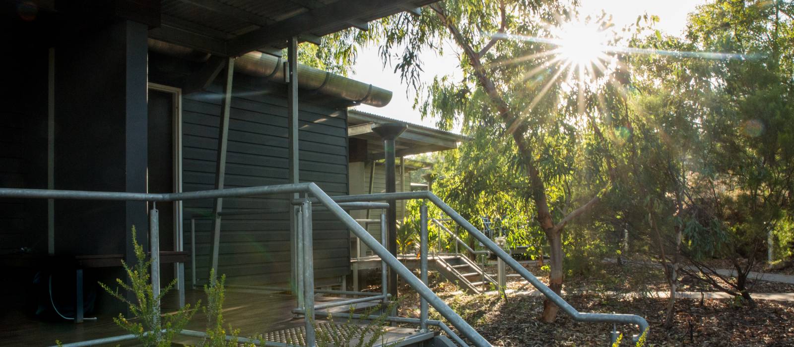 Cicada Lodge Hotel | Enchanting Travels
