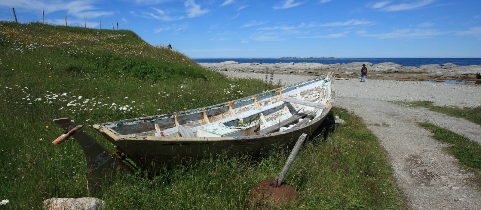 Exclusive Travel Tips for Your Destination Cow Head in Canada