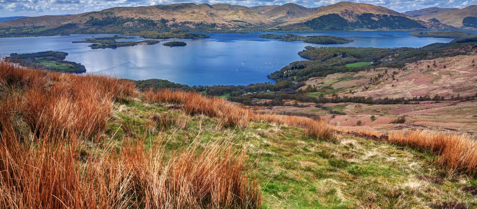 Loch Lomond Tours & UK & Ireland Trip | Enchanting Travels