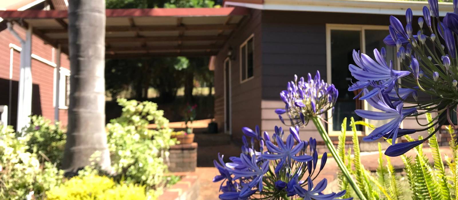 Forest Lodge Resort Motel Hotel in Australia | ENCHANTING TRAVELS