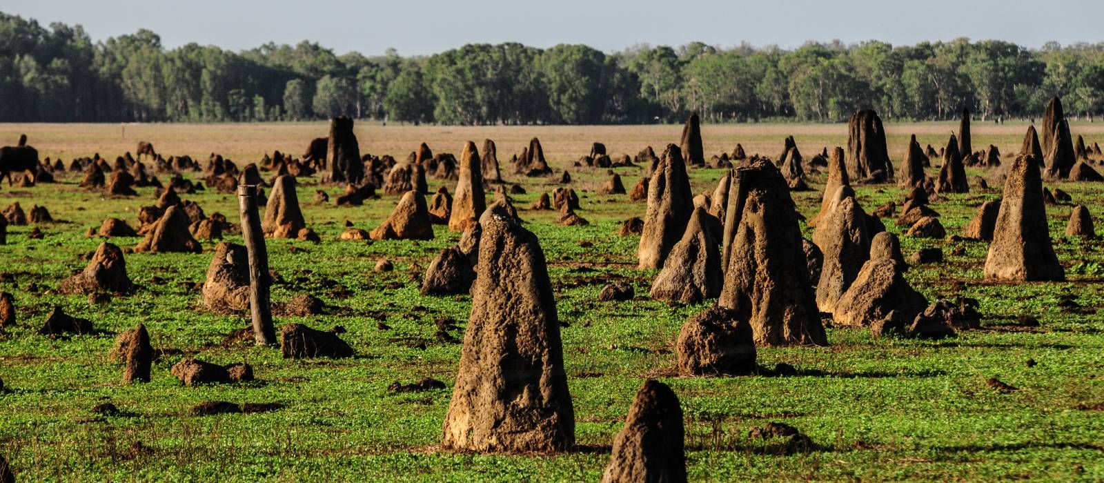 Bamurru Trips & Custom Australia Tours | Enchanting Travels