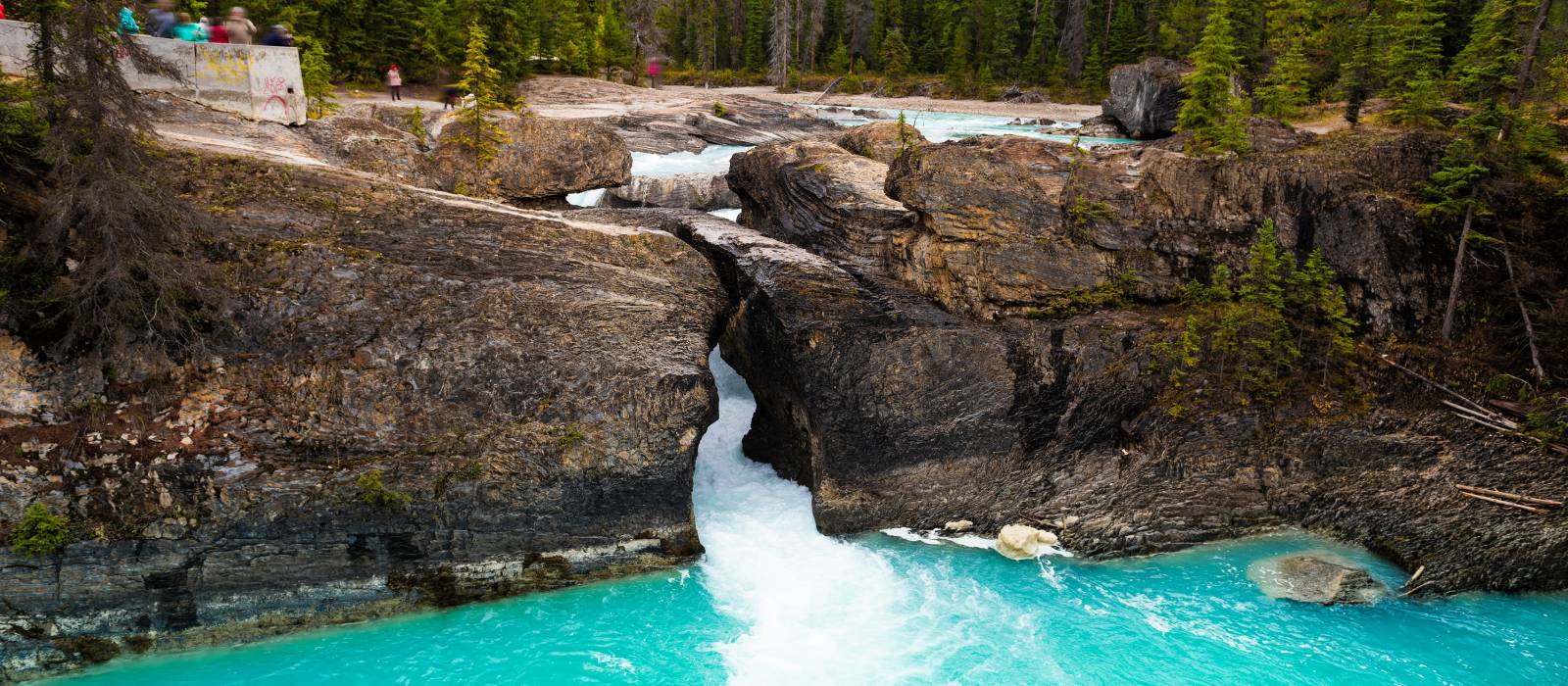 Exclusive Travel Tips for Your Destination Field in Canada