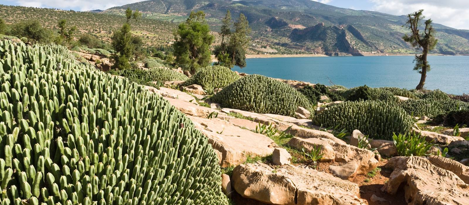 Exclusive Travel Tips for Your Destination Bin El Ouidane in Morocco