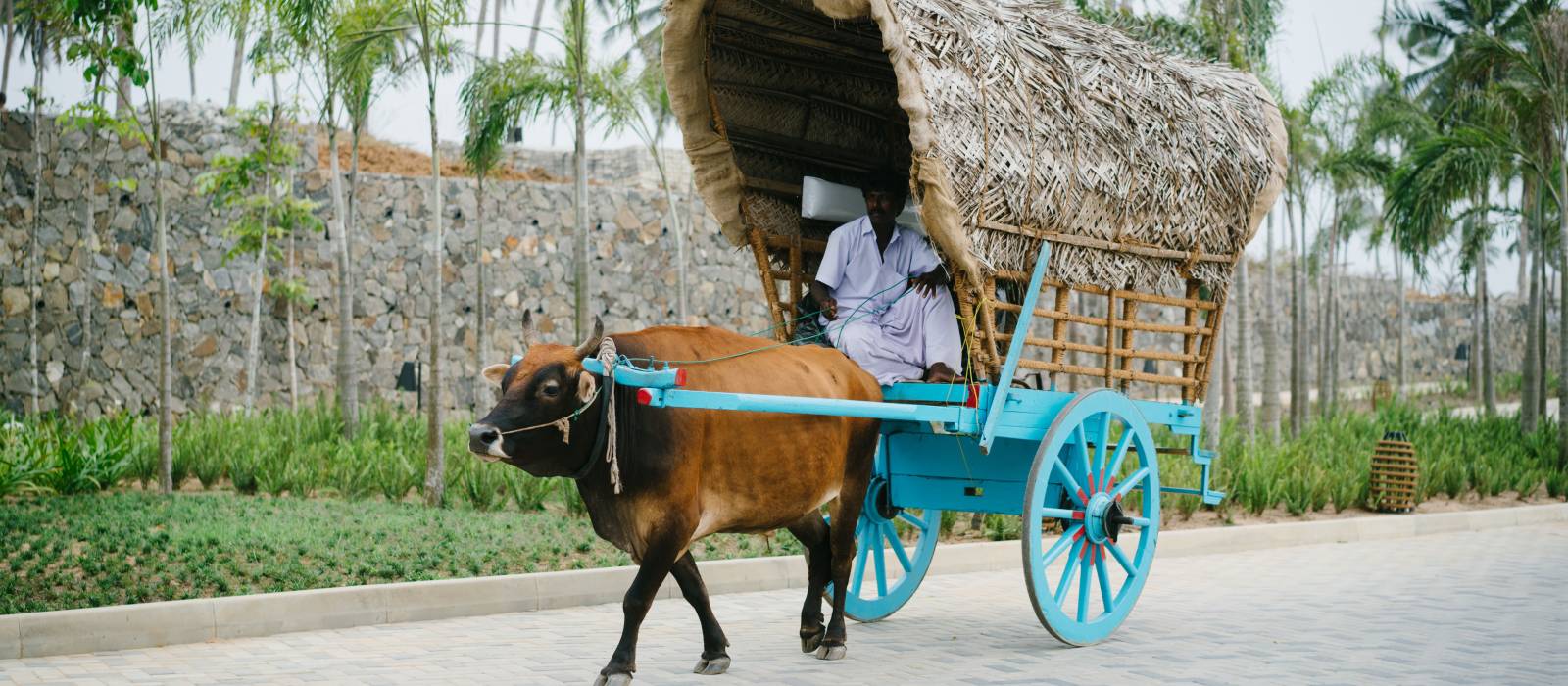 Seven Turtles Hotel in Sri Lanka | ENCHANTING TRAVELS