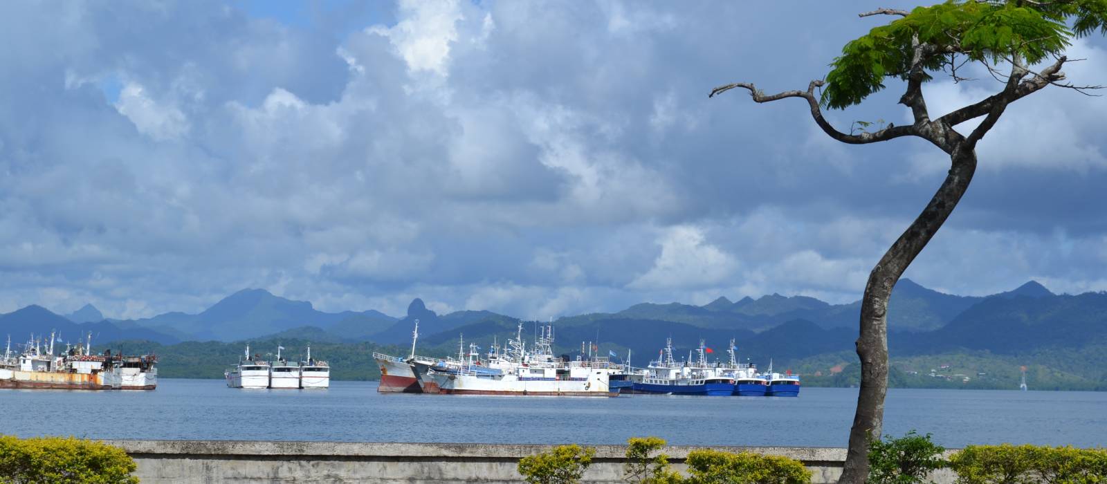 Exclusive Travel Tips for Your Destination Suva in Fiji