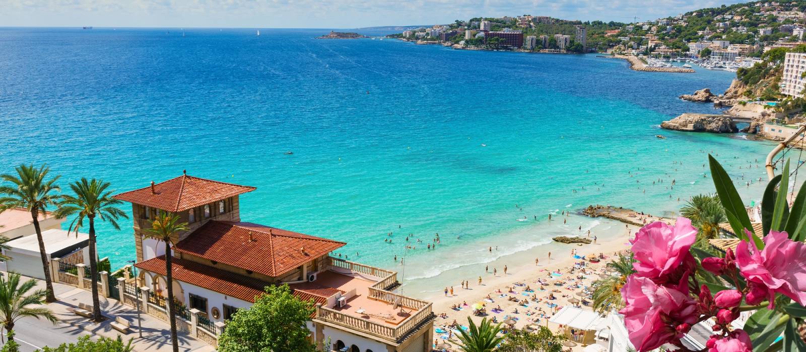 Exclusive Travel Tips for Your Destination Palma in Spain