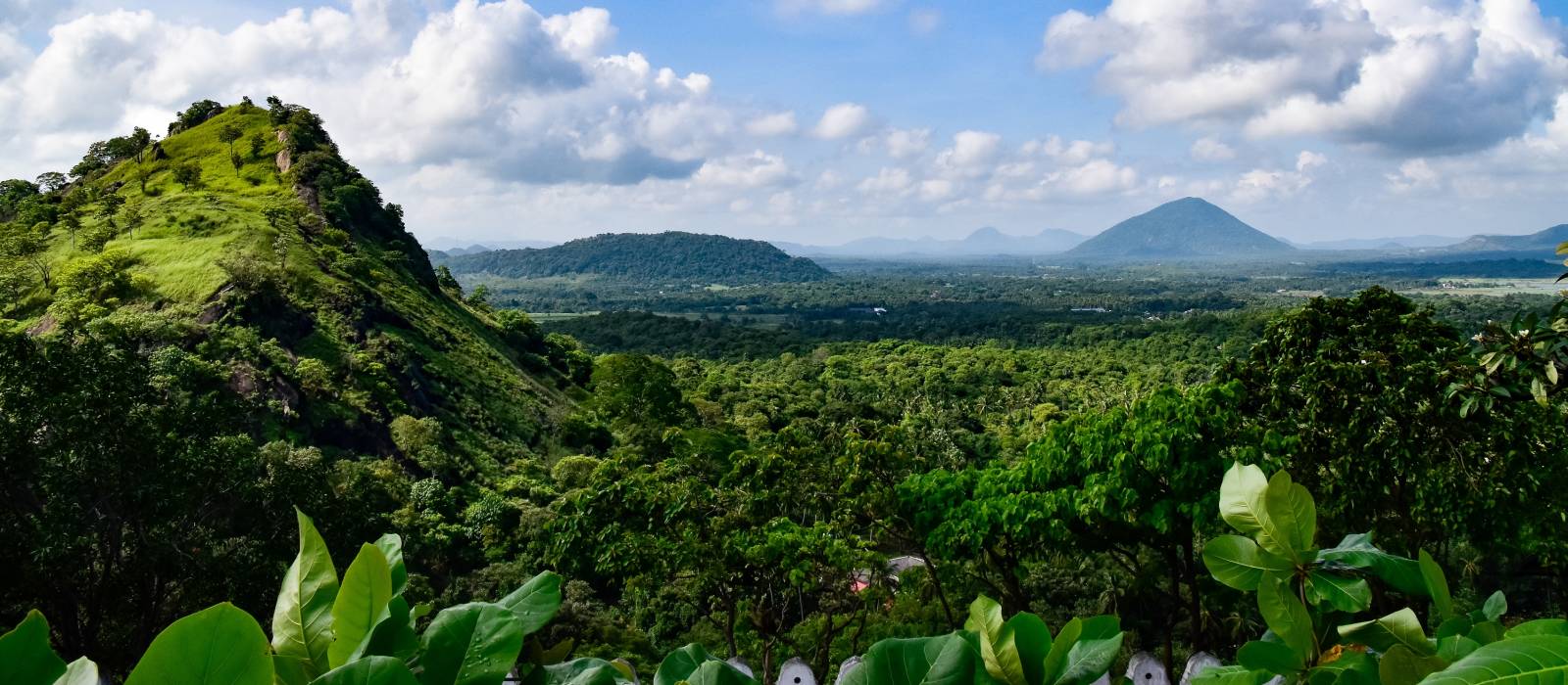 Gal Oya National Park Safari & Tours | Enchanting Travels