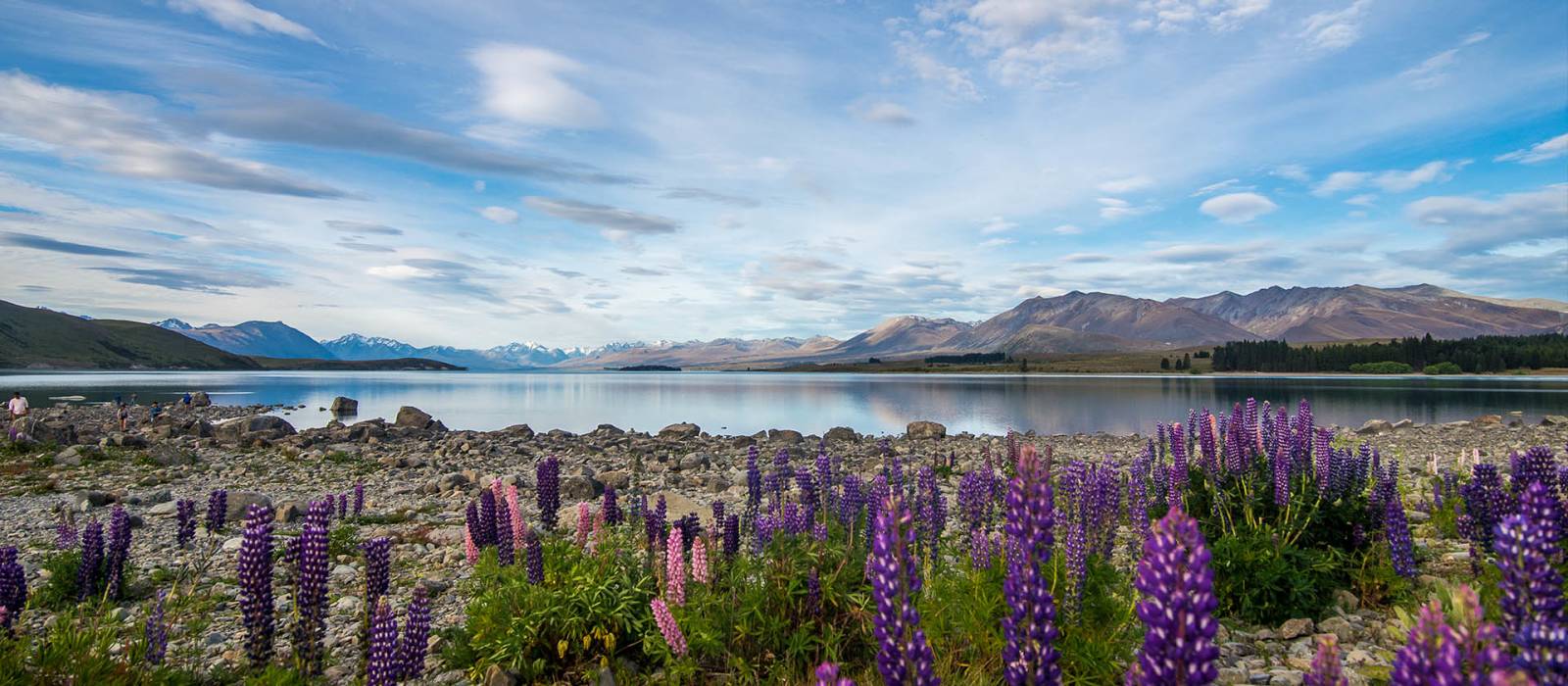 Exclusive Travel Tips for Your Destination Tekapo in New Zealand