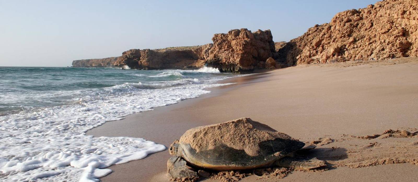 Turtle Beach Resort Hotel | Enchanting Travels