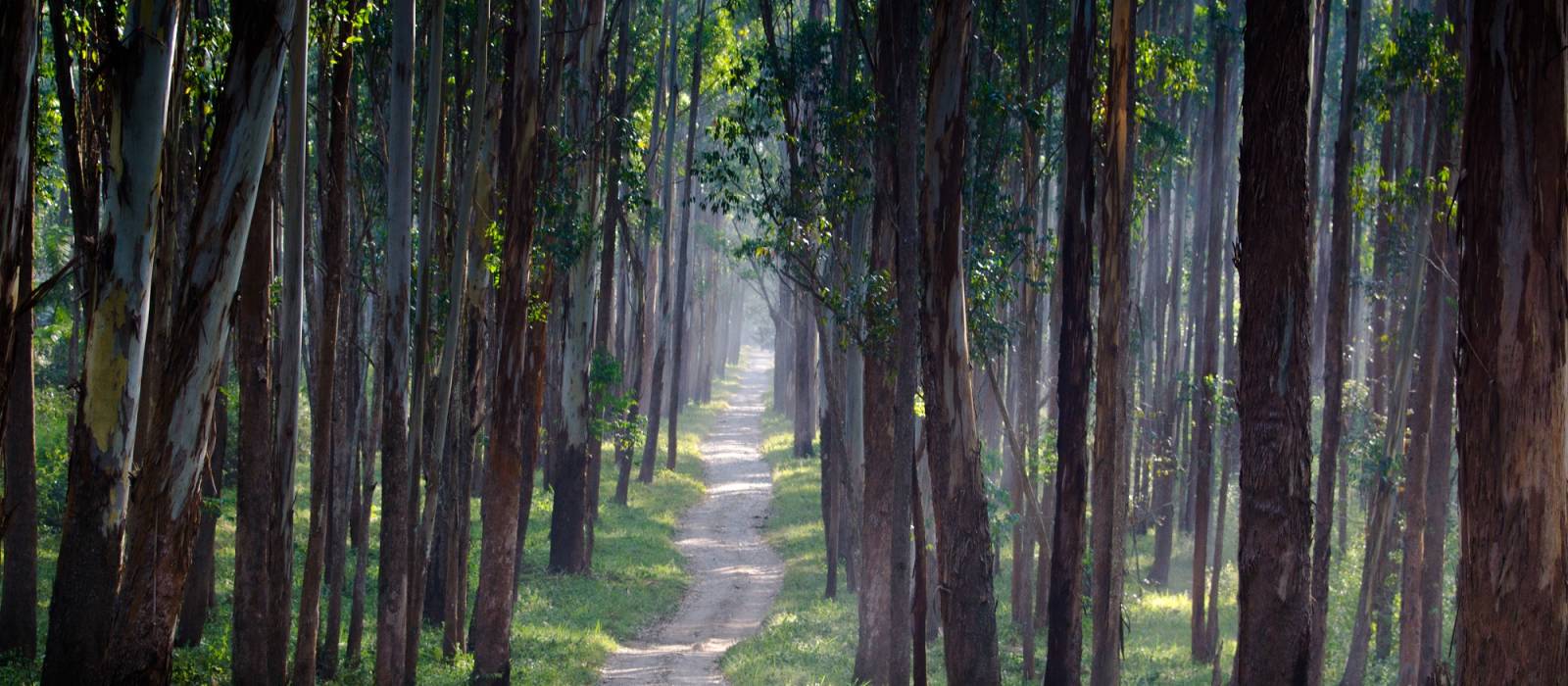 After The Rains Hotel in South India | ENCHANTING TRAVELS