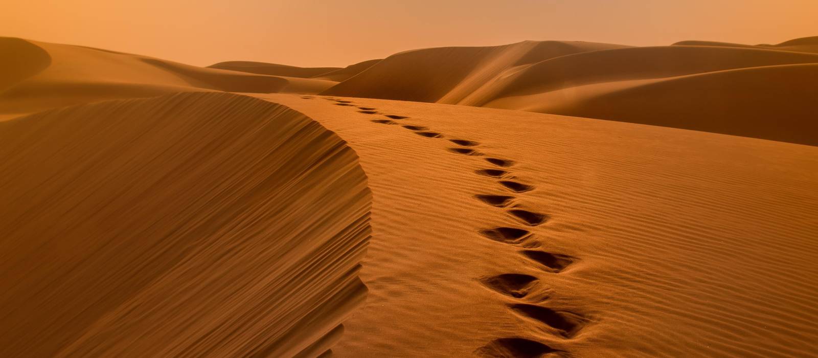Exclusive Travel Tips for Your Destination Liwa in United Arab Emirates