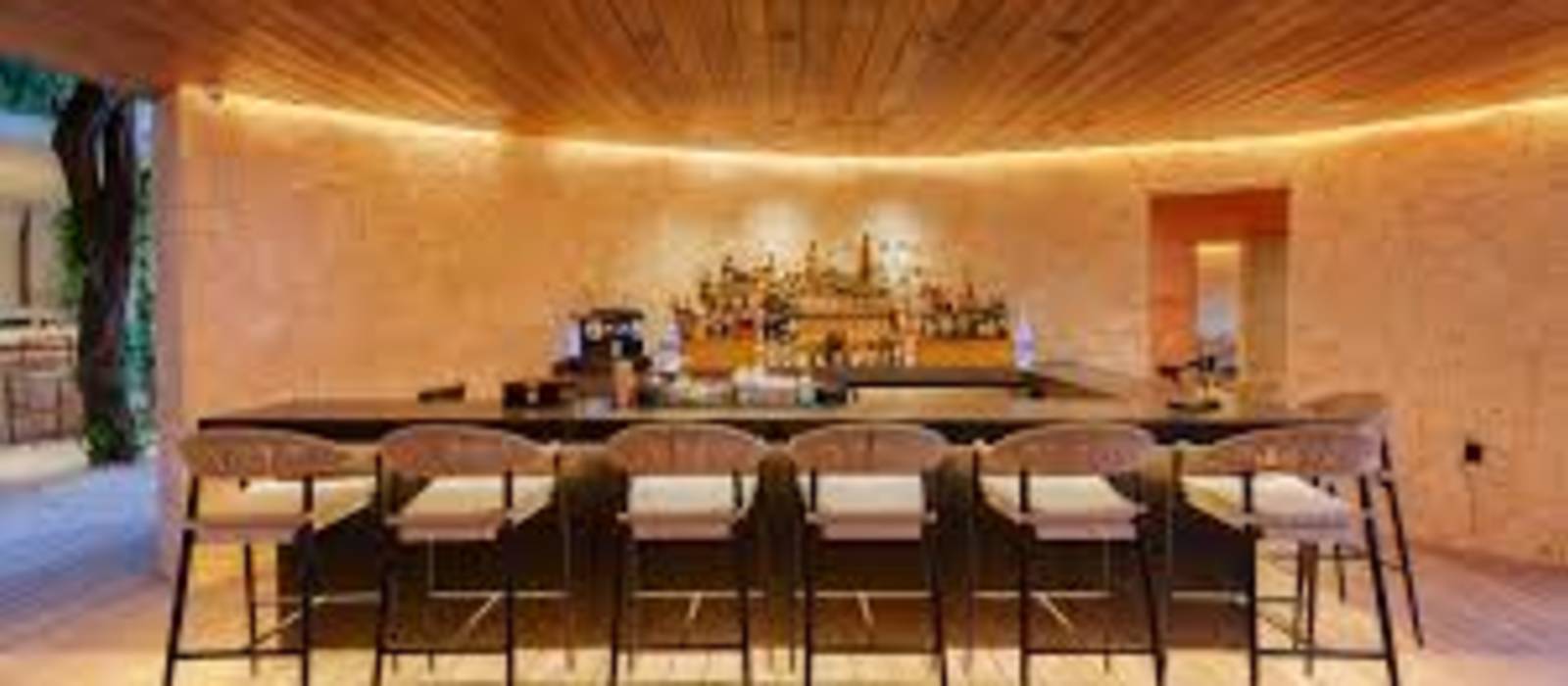 Tago Hotel in Mexico | ENCHANTING TRAVELS