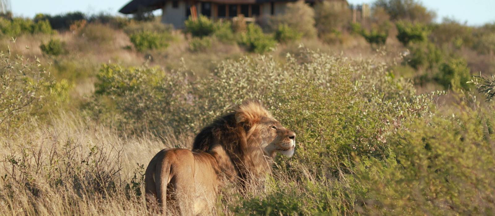 Duma Tau Camp Hotel in Botswana | ENCHANTING TRAVELS