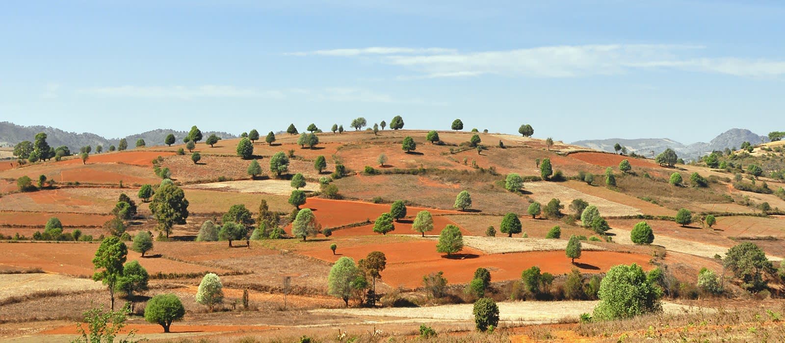 Kalaw Tours & Custom Myanmar Tours | Enchanting Travels