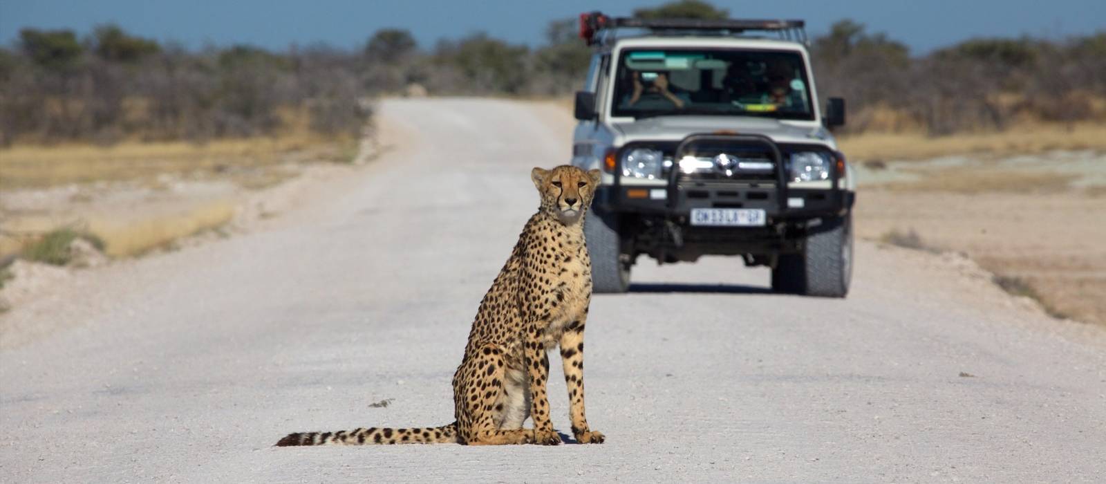 Outjo Trips & Custom Namibia Tours | Enchanting Travels