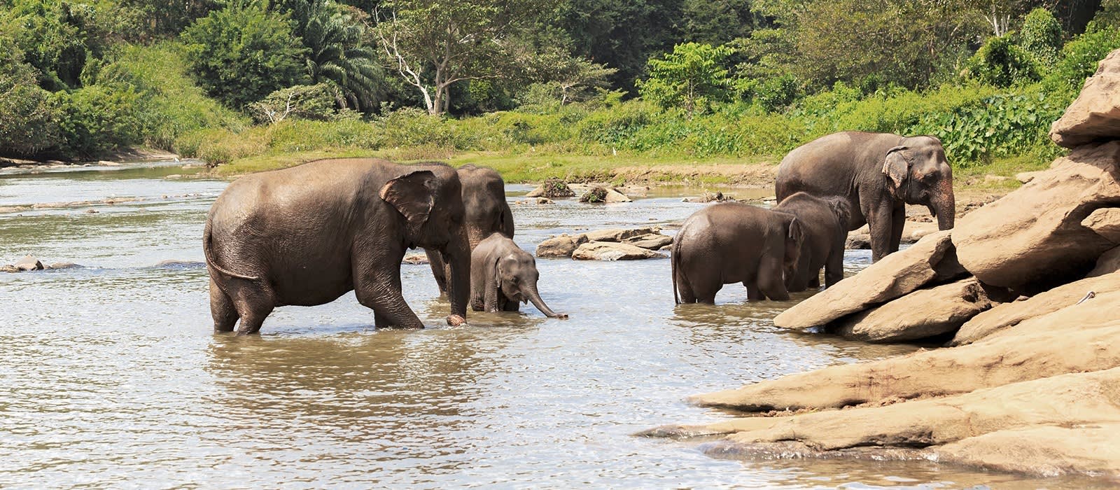 Wilpattu Safari & Sri Lanka Trip | Enchanting Travels