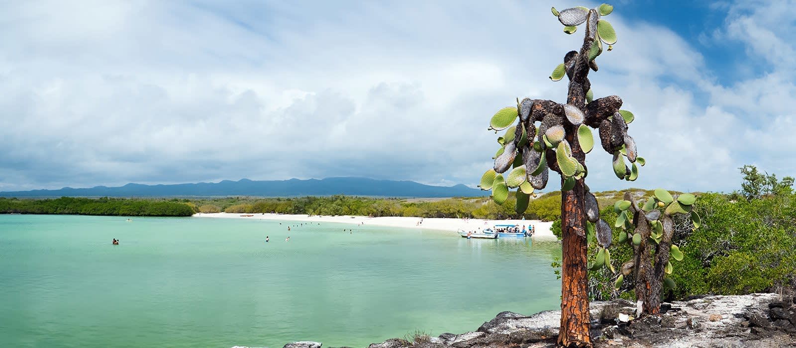 Isla Santa Cruz Cruise in Galapagos | Enchanting Travels