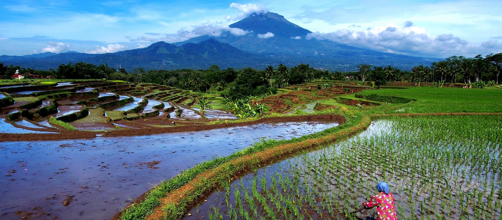 Magelang - Indonesien Individualreisen | Enchanting Travels