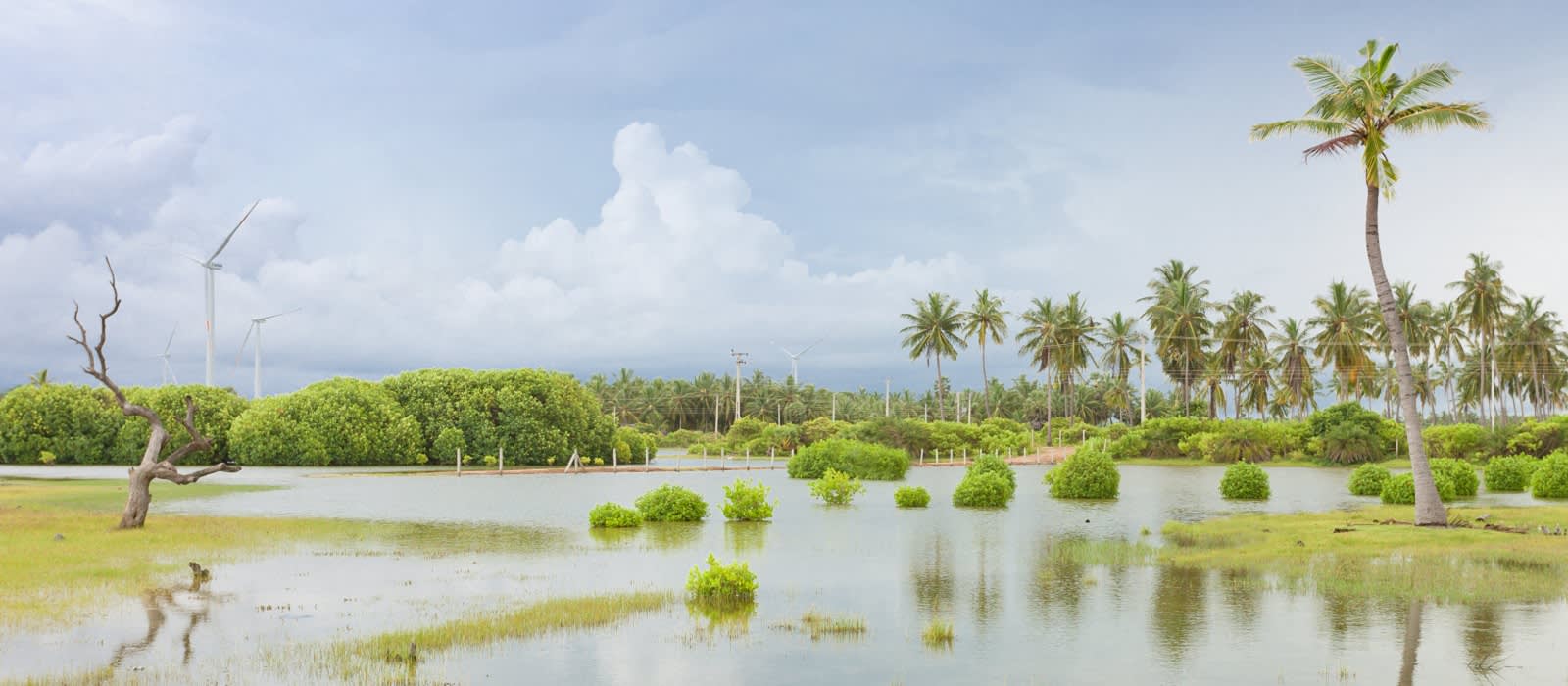 Kalpitiya Tours & Sri Lanka Trip | Enchanting Travels