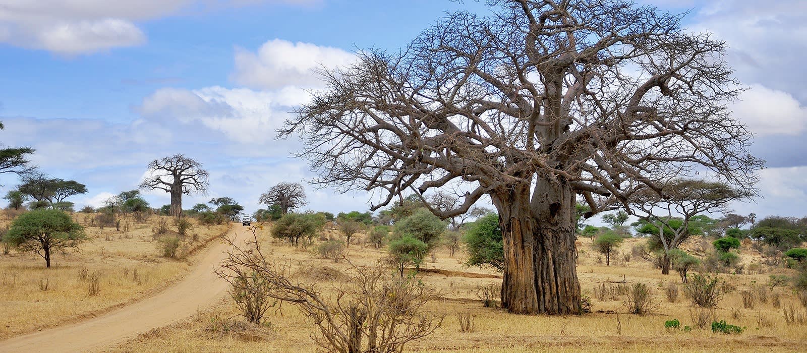 Katavi Safari & Custom Tanzania Tours | Enchanting Travels