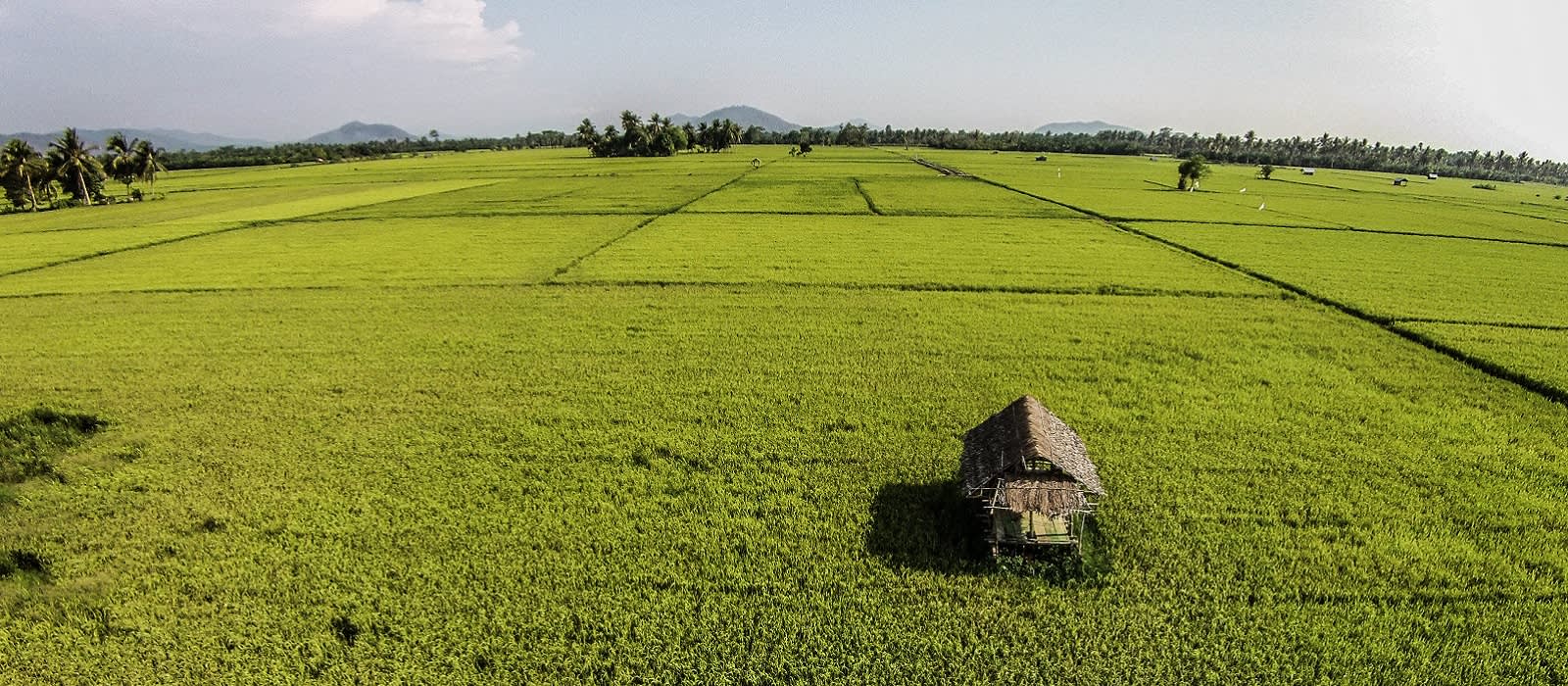 Palopo Tours & Custom Indonesia Tours | Enchanting Travels