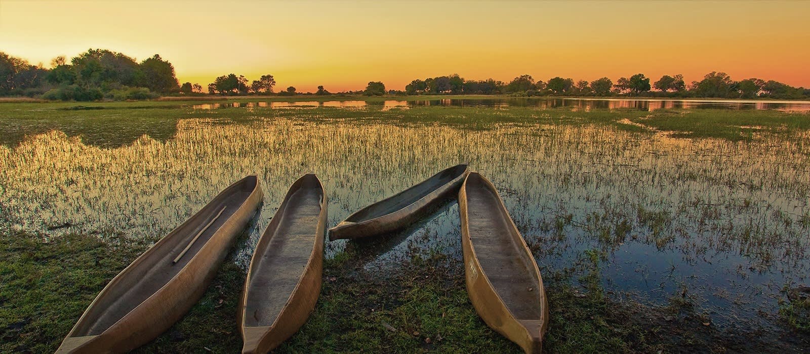 Okavango Delta Tours & Botswana Trip | Enchanting Travels